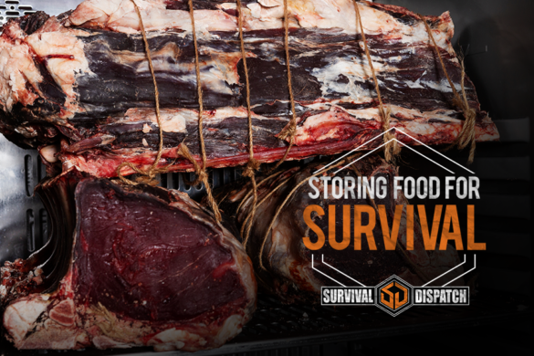 Primitive Weapons - Survival Dispatch