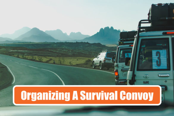 Primitive Weapons - Survival Dispatch