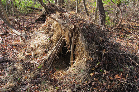 Survival Shelter Building Basics - Survival Dispatch