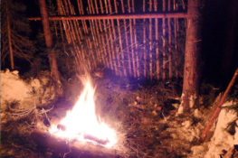 The Survival Hierarchy: Setting Priorities for Staying Alive