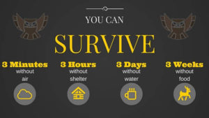 The Survival Hierarchy: Setting Priorities for Staying Alive