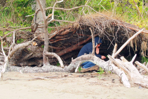 Survival Shelter Building Basics - Survival Dispatch