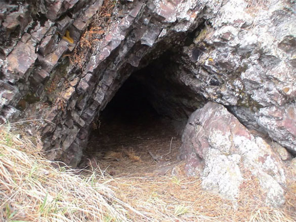 Survival Shelter Building Basics - Survival Dispatch