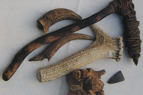 Knots and Lashings - Survival Dispatch