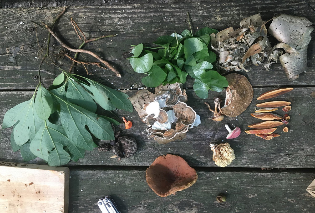 The Reality of Foraging - Survival Dispatch