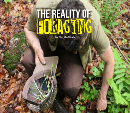 How to Build Primitive Traps - Survival Dispatch