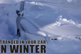 Knots and Lashings - Survival Dispatch