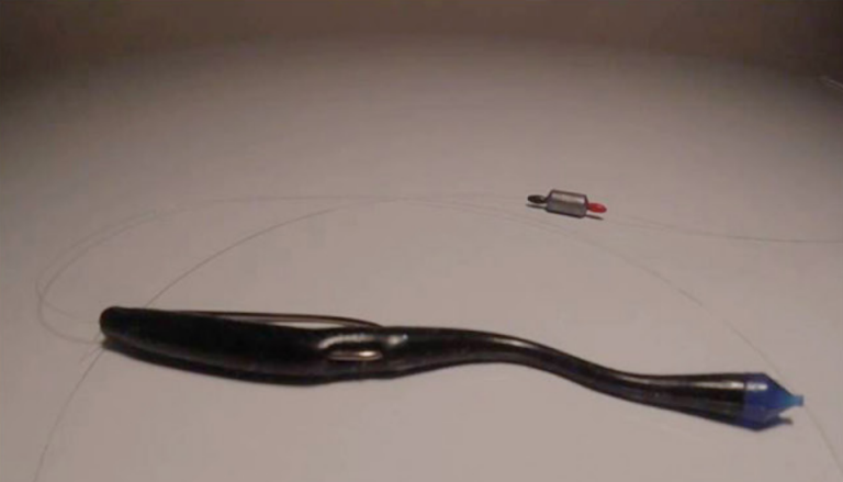 Shallow Water Fishing Tips - Survival Dispatch