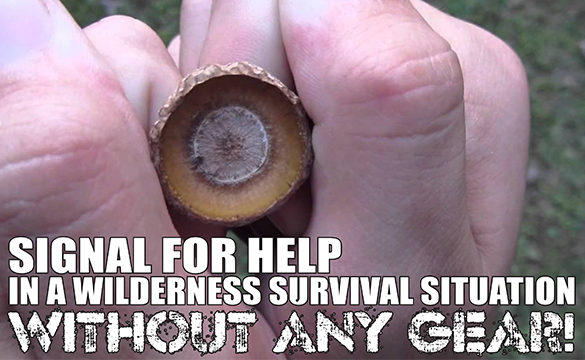 Primitive Weapons - Survival Dispatch