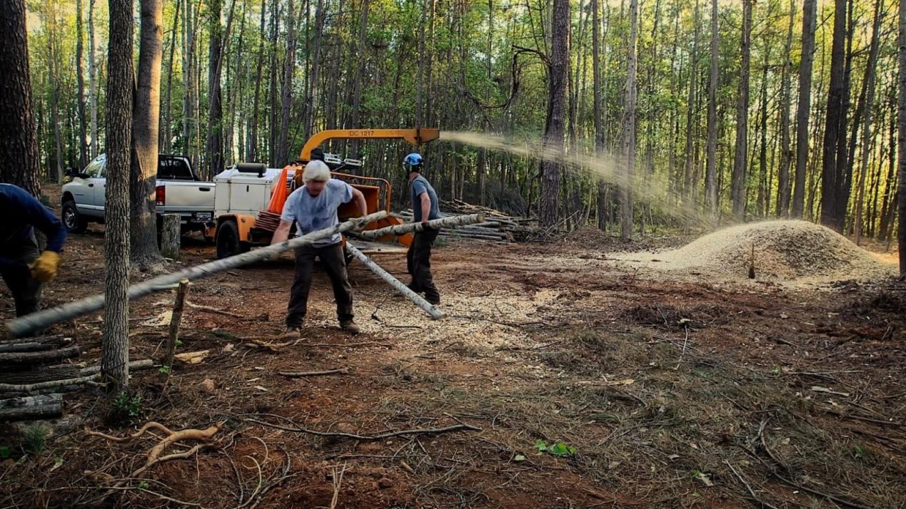 Forest to Farm: Tree Clearing Clean-Up - Survival Dispatch