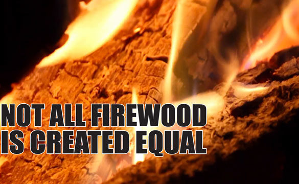 Primitive Fire Starting Methods - Survival Dispatch