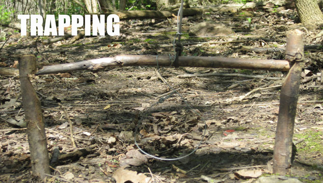 Survival Dispatch » Survival Videos