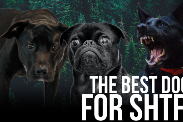 16 Clever Ways to Hide Your Preps - Survival Dispatch