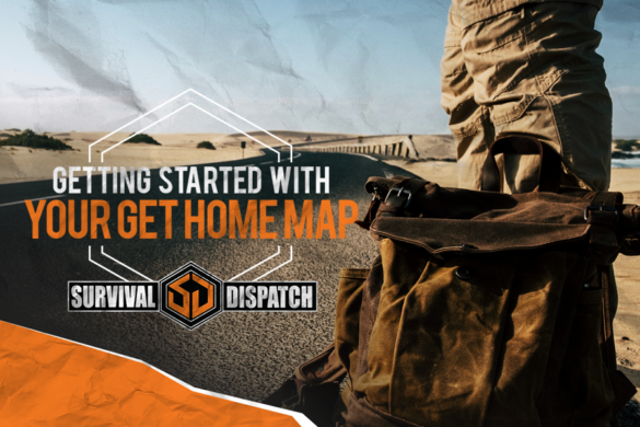 Key Roles and Team Dynamics Within the Survival Group - Survival Dispatch