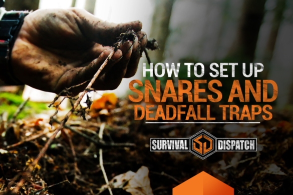 Slingshots for Wilderness Survival Hunting - Survival Dispatch