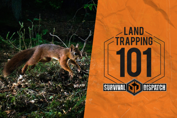 Statistics of Getting Lost and Found - Survival Dispatch