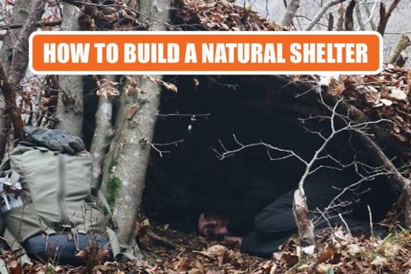 Primitive Fire Starting Methods - Survival Dispatch