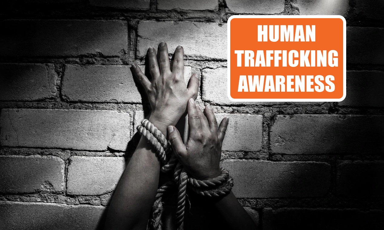 Human Trafficking Awareness And Detection Survival Dispatch