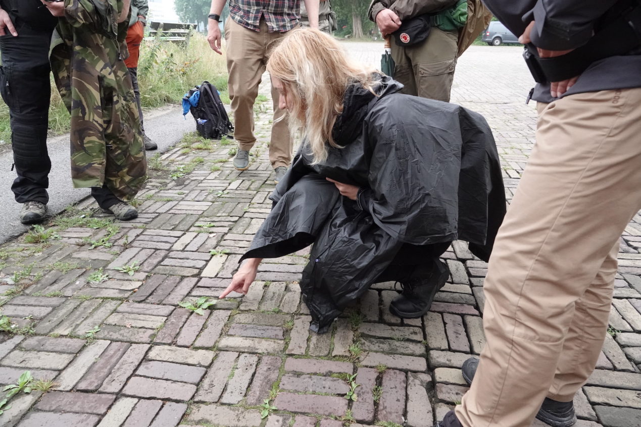 Setting Your EDC, A European Perspective - Survival Dispatch