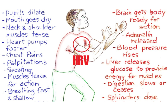 Operational Environment Analysis with PMESII-PT - Survival Dispatch