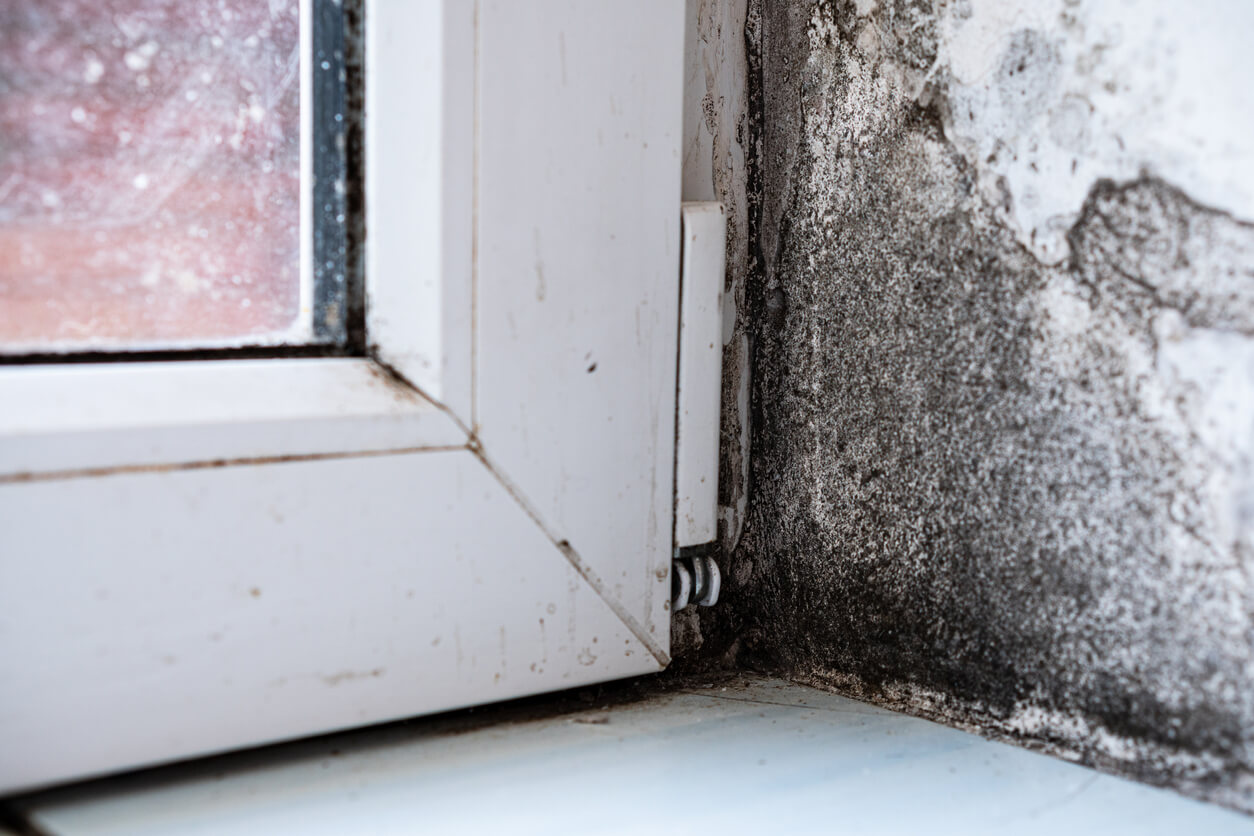 10 Vulnerabilities Survivalists Often Overlook - Survival Dispatch