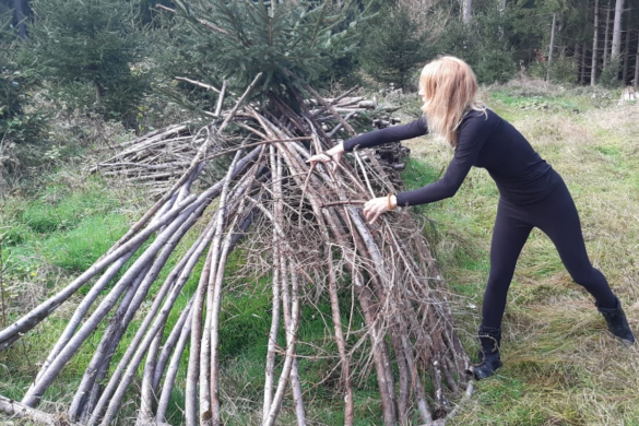 The Survival Hierarchy: Setting Priorities for Staying Alive