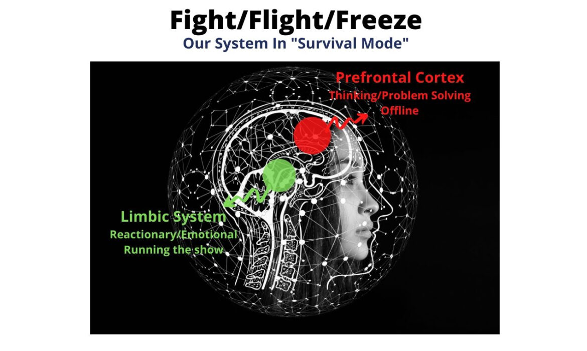 Fight, Flight, or Freeze: 8 Ways to Remain Calm - Survival Dispatch