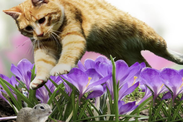 Adding a Hand Pump to Your Well - Survival Dispatch