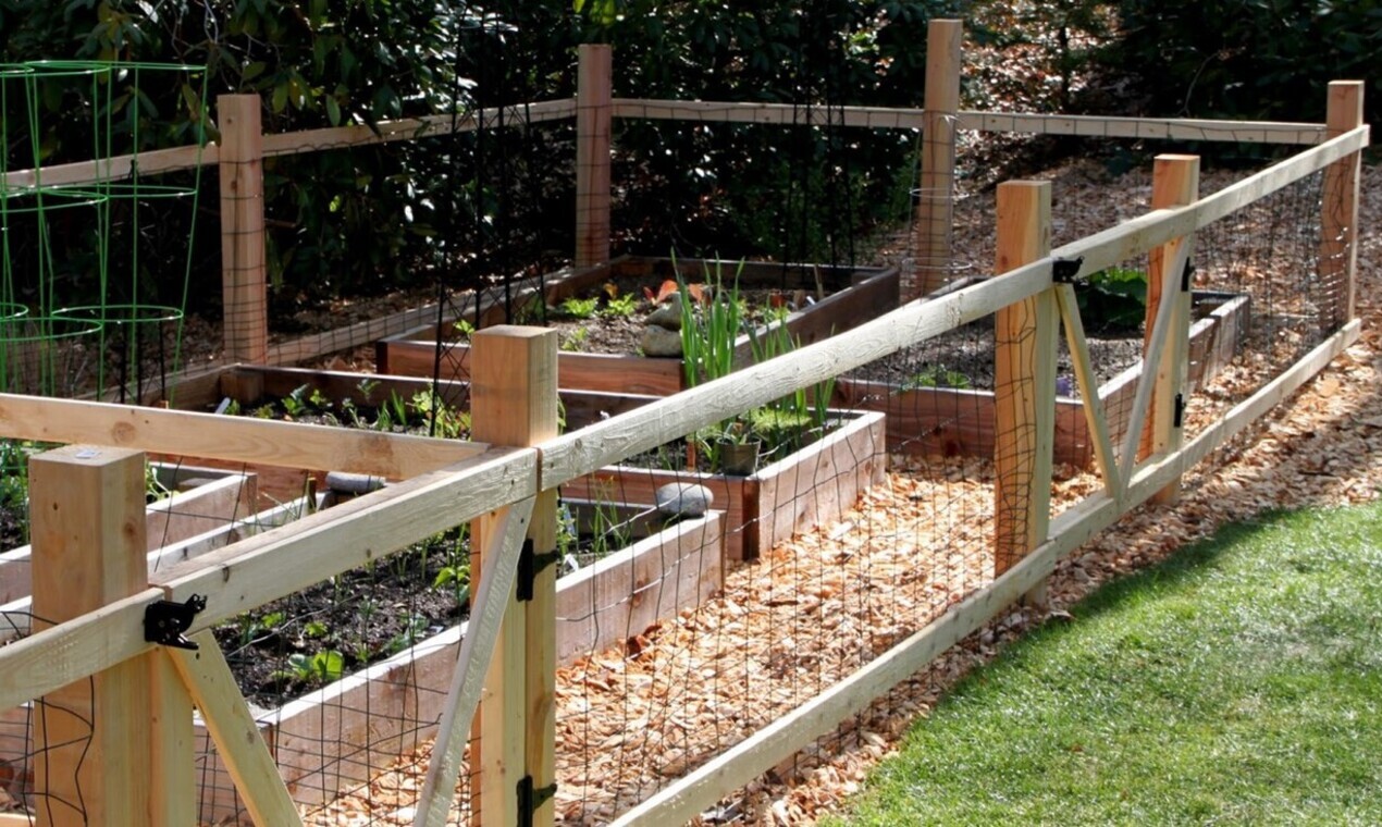 8 Tips to Build a Successful Garden - Survival Dispatch