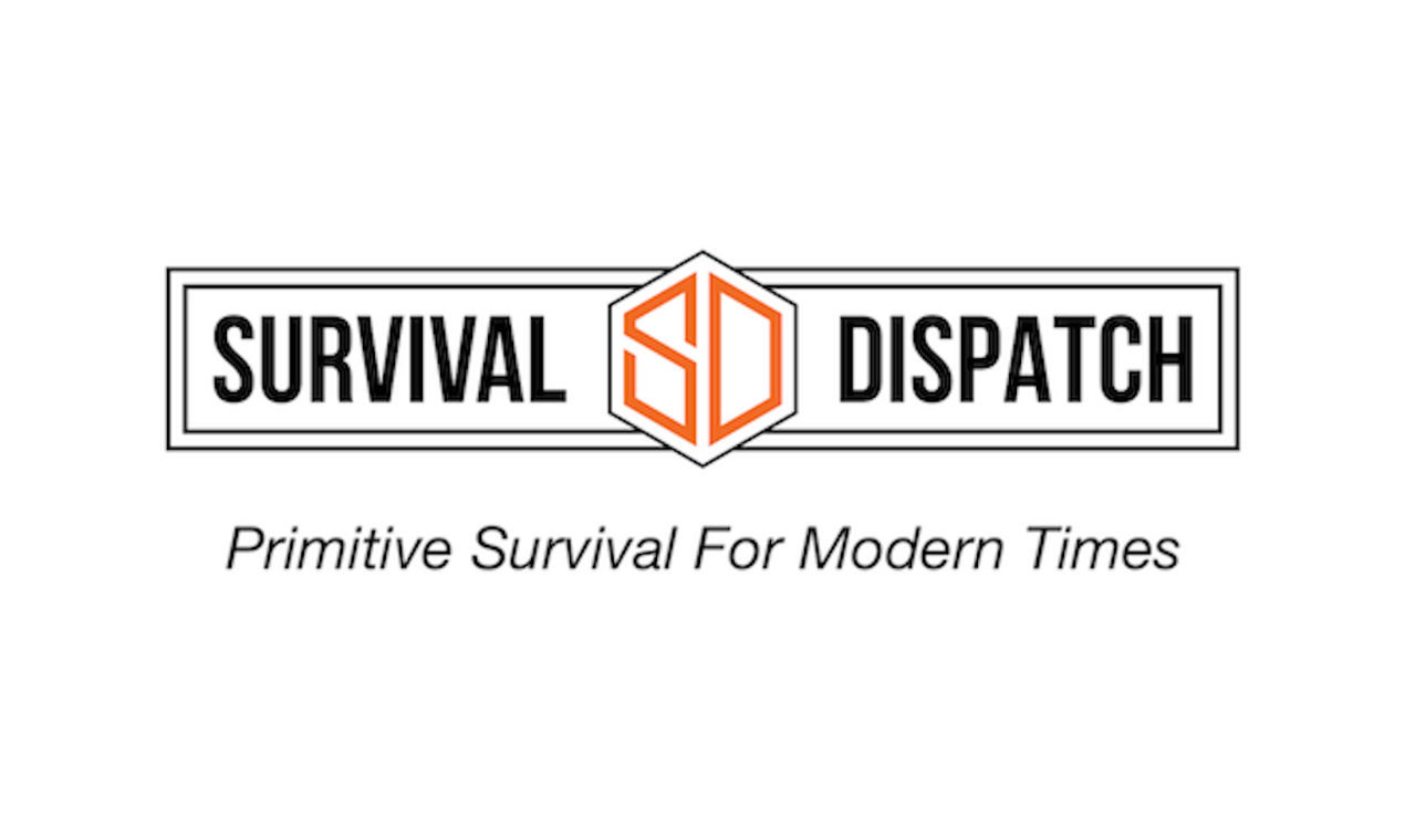 Primitive Skills For Modern Times FREE e-Book - Survival Dispatch