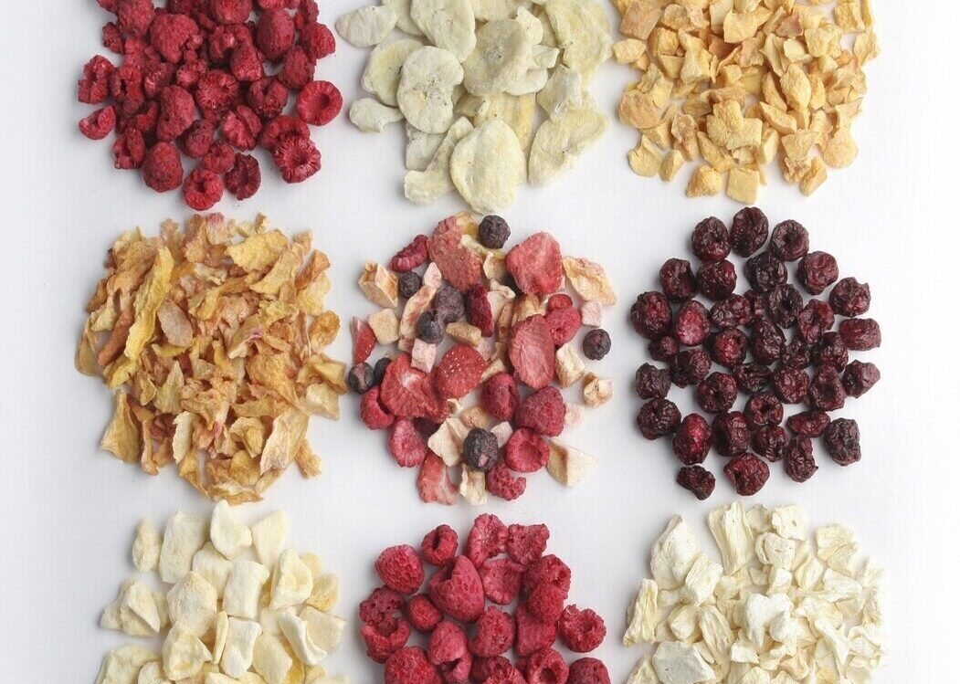 Freeze Drying Your Own Food - Survival Dispatch