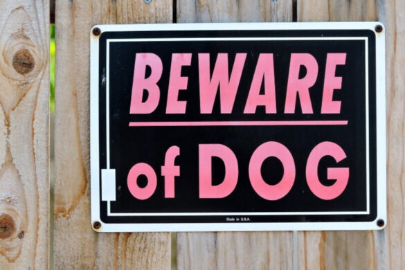 16 Clever Ways to Hide Your Preps - Survival Dispatch