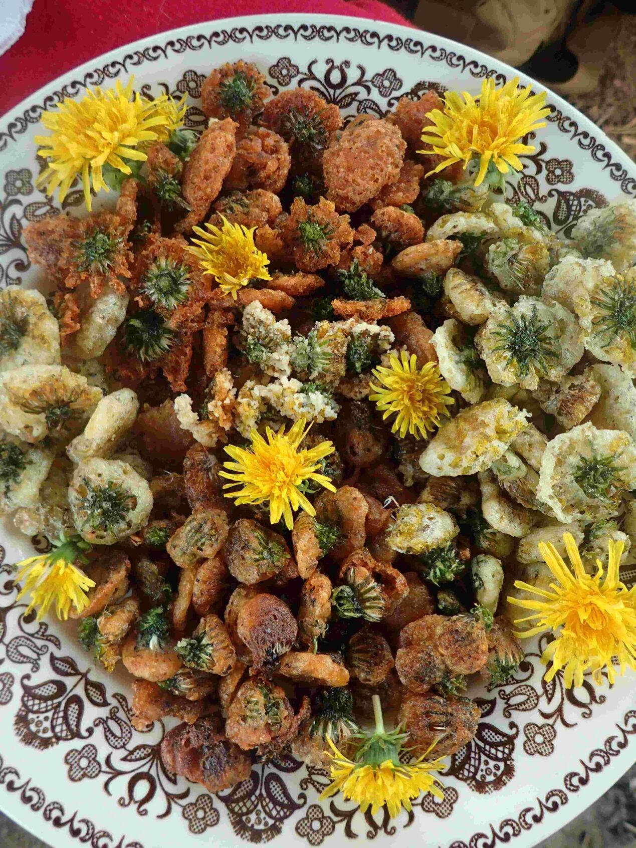 Spring Wild Edibles are Here! - Survival Dispatch