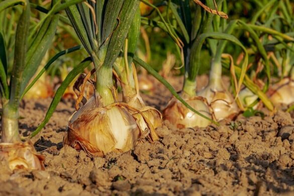 16 Clever Ways to Hide Your Preps - Survival Dispatch