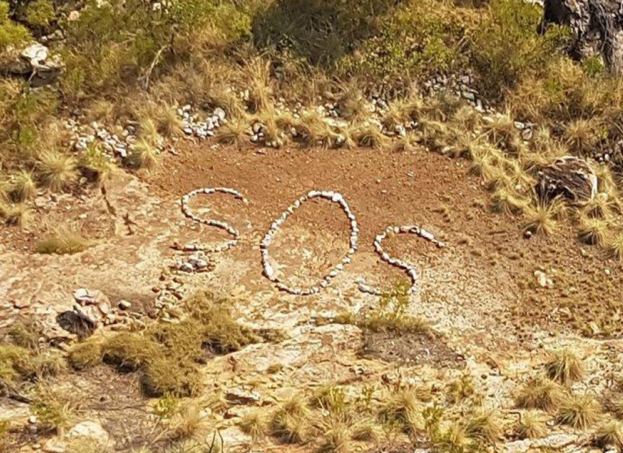 Universal Ground Signals - Survival Dispatch