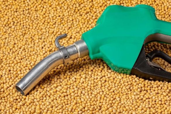 16 Clever Ways to Hide Your Preps - Survival Dispatch