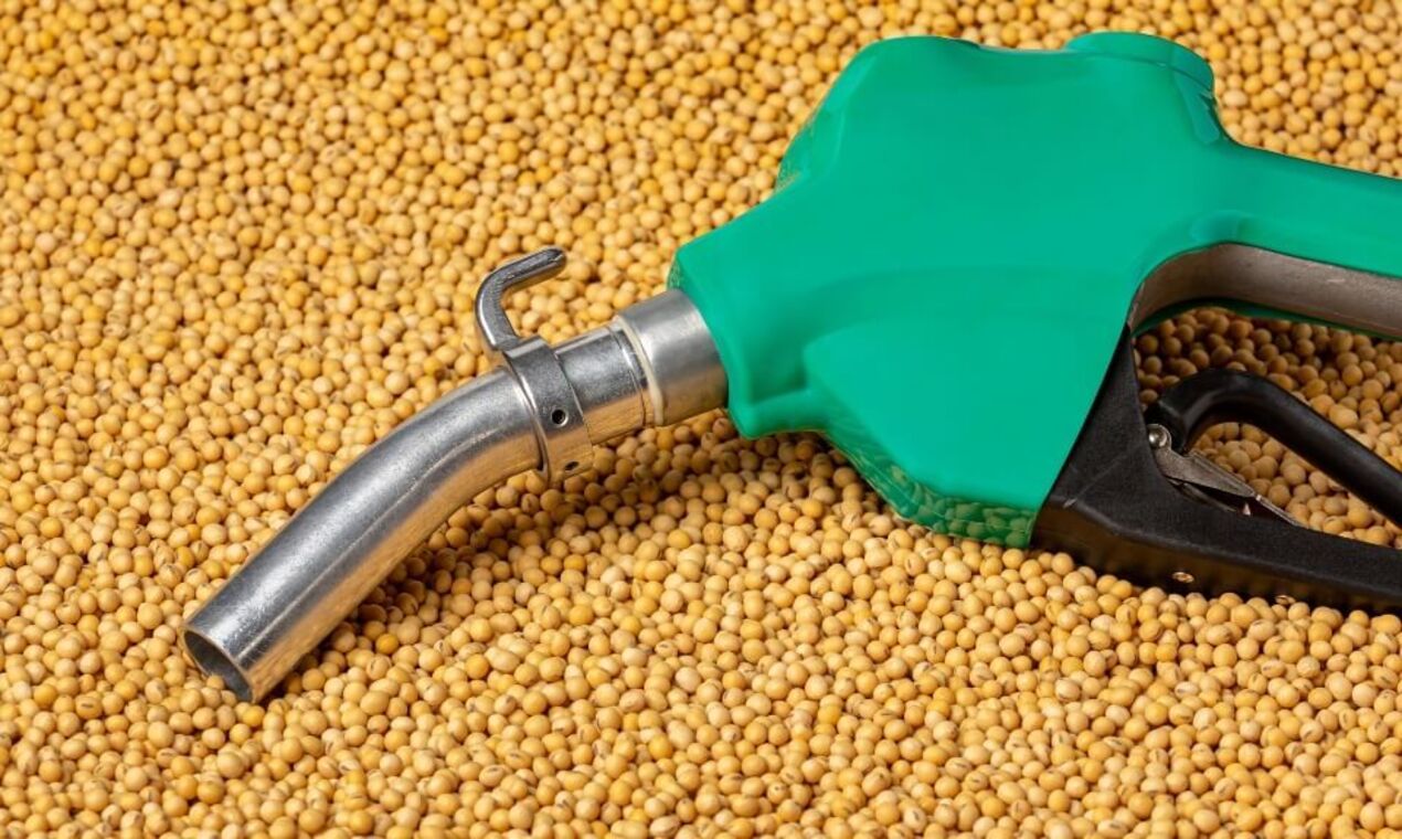 What Survivalists Should Know About Diesel, Biodiesel and Renewable ...