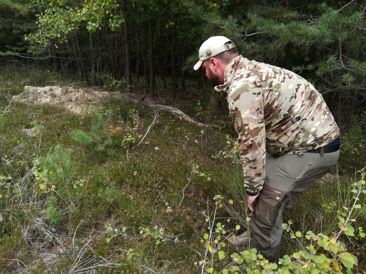 How to Vanish in the Woods - Survival Dispatch