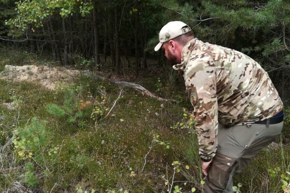 Small Unit Tactics: The L-Shaped Ambush - Survival Dispatch