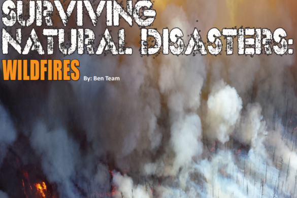Developing the Survival Mindset to Thrive When Disaster Strikes