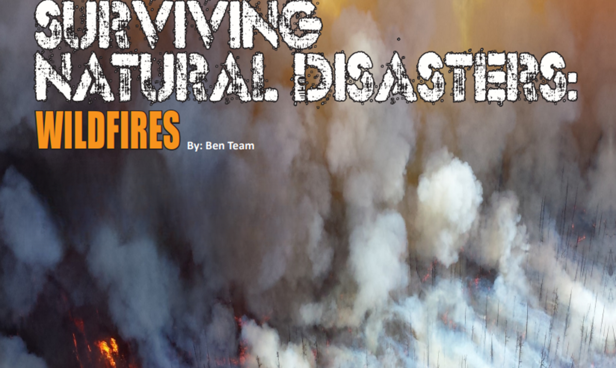 Surviving a Wildfire - Survival Dispatch