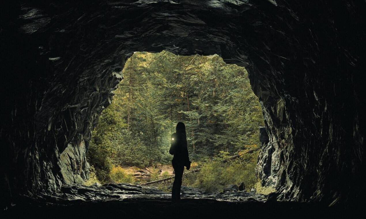 The Ultimate Guide to Wilderness Survival: Essential Skills and Gear ...