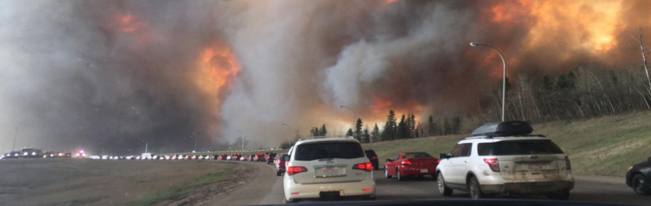 Surviving a Wildfire - Survival Dispatch