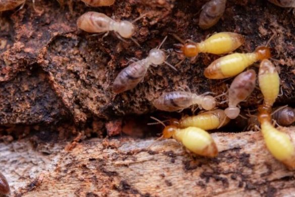 16 Clever Ways to Hide Your Preps - Survival Dispatch