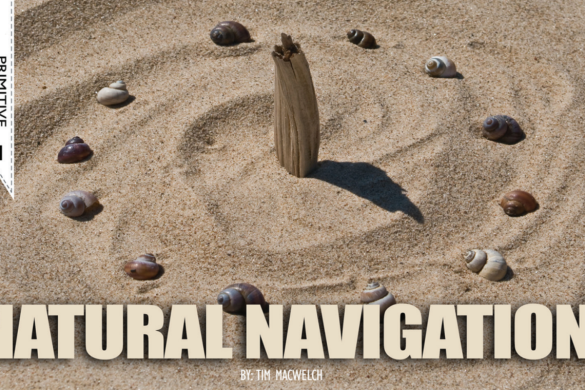 Small Unit Tactics: The L-Shaped Ambush - Survival Dispatch