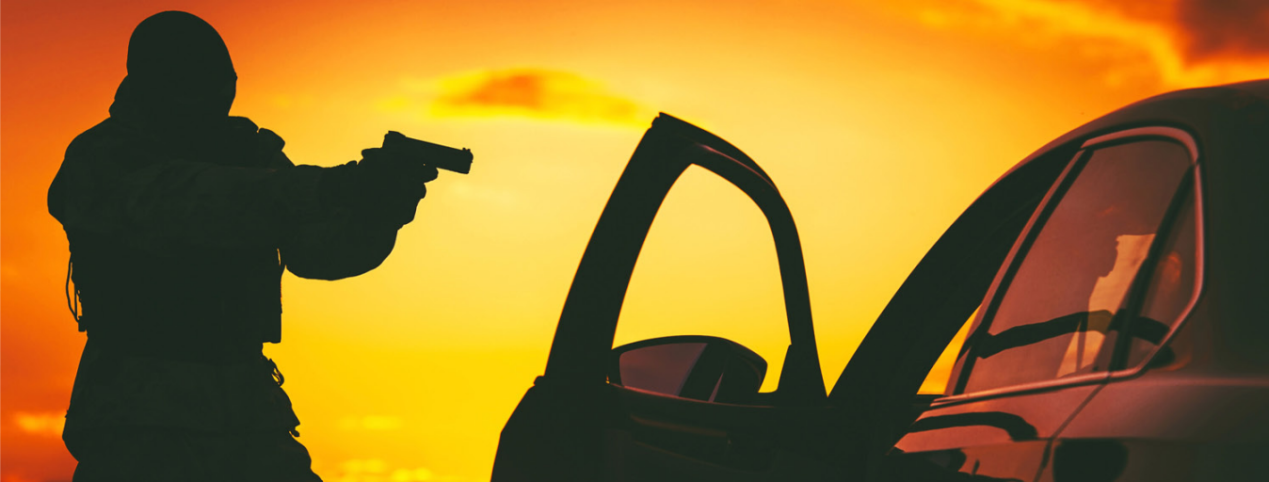 Tactical Driving Skills - Survival Dispatch