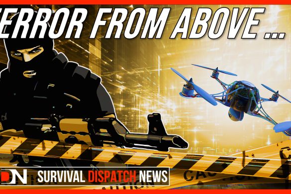 The Most Trusted Name in Survival & Prepping - Survival Dispatch