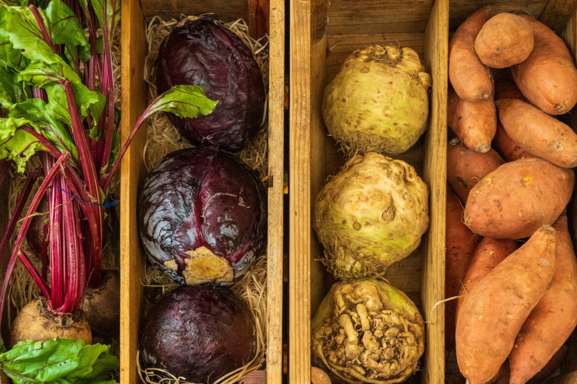 How to Build and Use a Root Cellar for Long-Term Food Storage ...